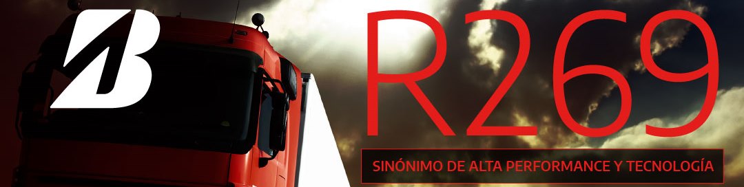 R269 El neumático que el Transporte estaba esperando - Grupo Testa